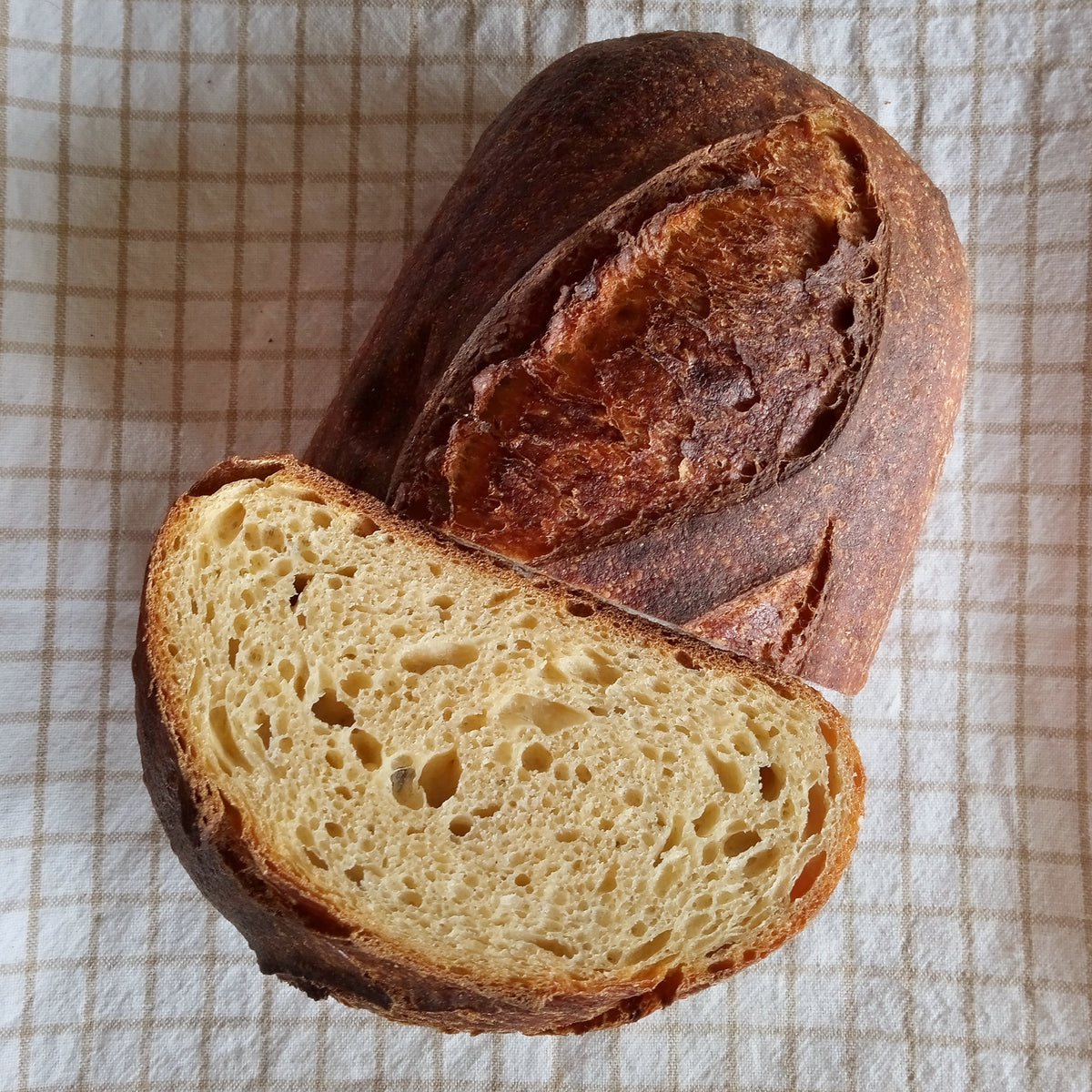 Meet durum wheat (and the farmers growing it in Clare Valley) – Baker's ...